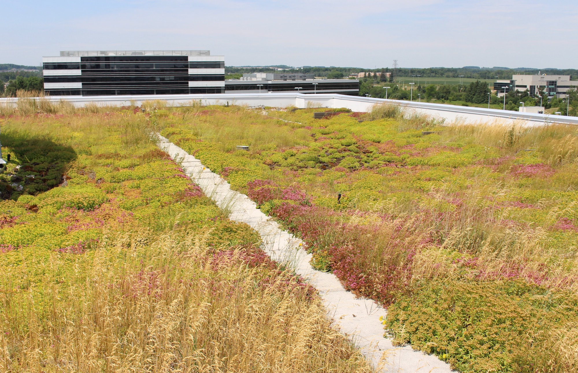 Accelerator Center - University of Waterloo
